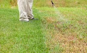 Is it time to Preen?